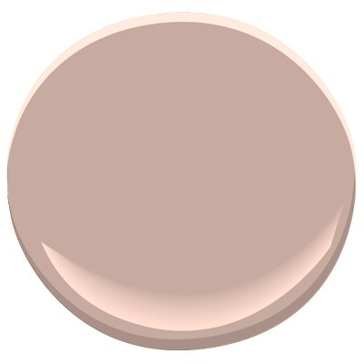 Light Mocha Paint Color