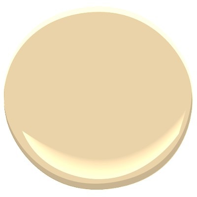 Safari Paint Color Swatch