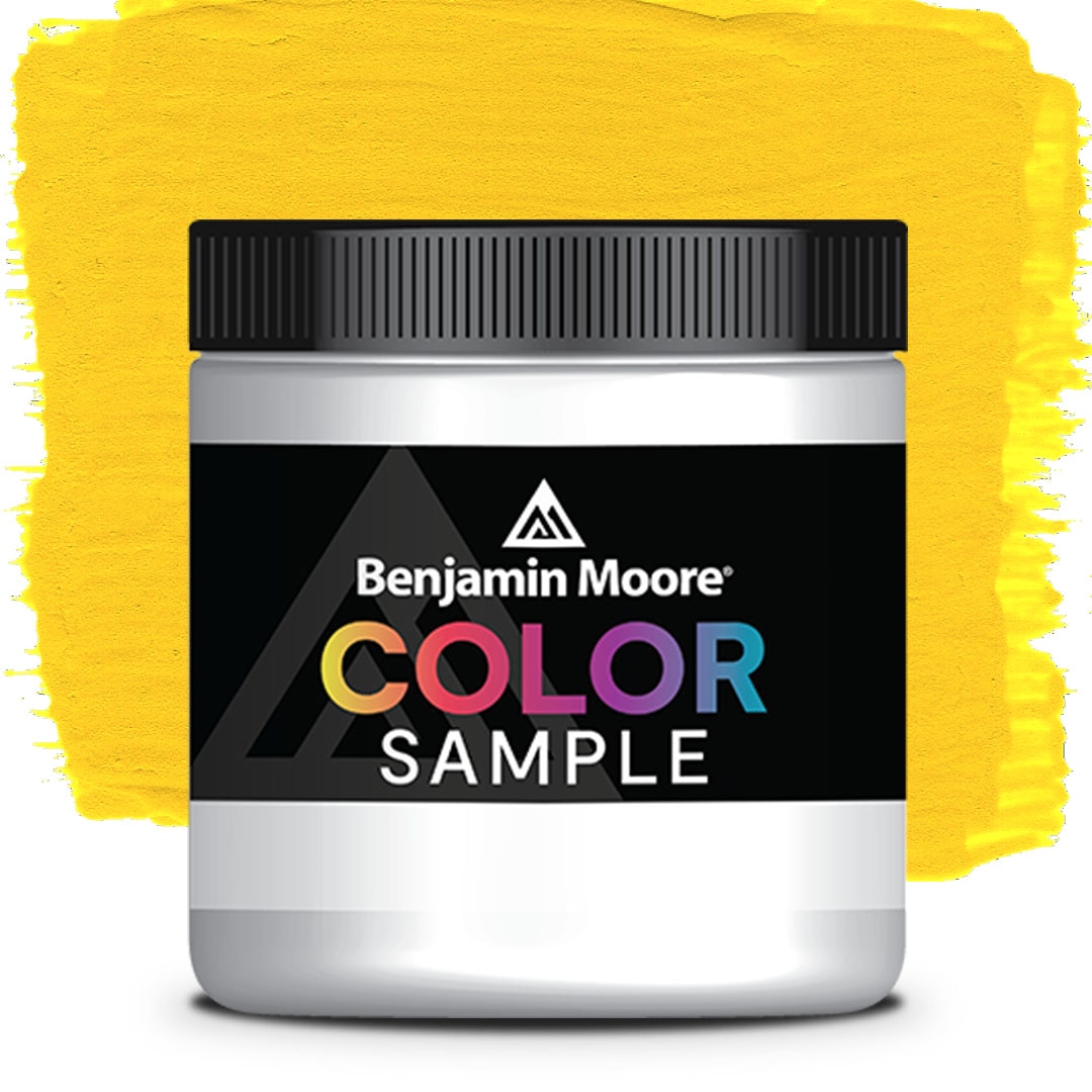 Benjamin Moore® Color Sample 8 oz. Abstracta 322 | Benjamin Moore