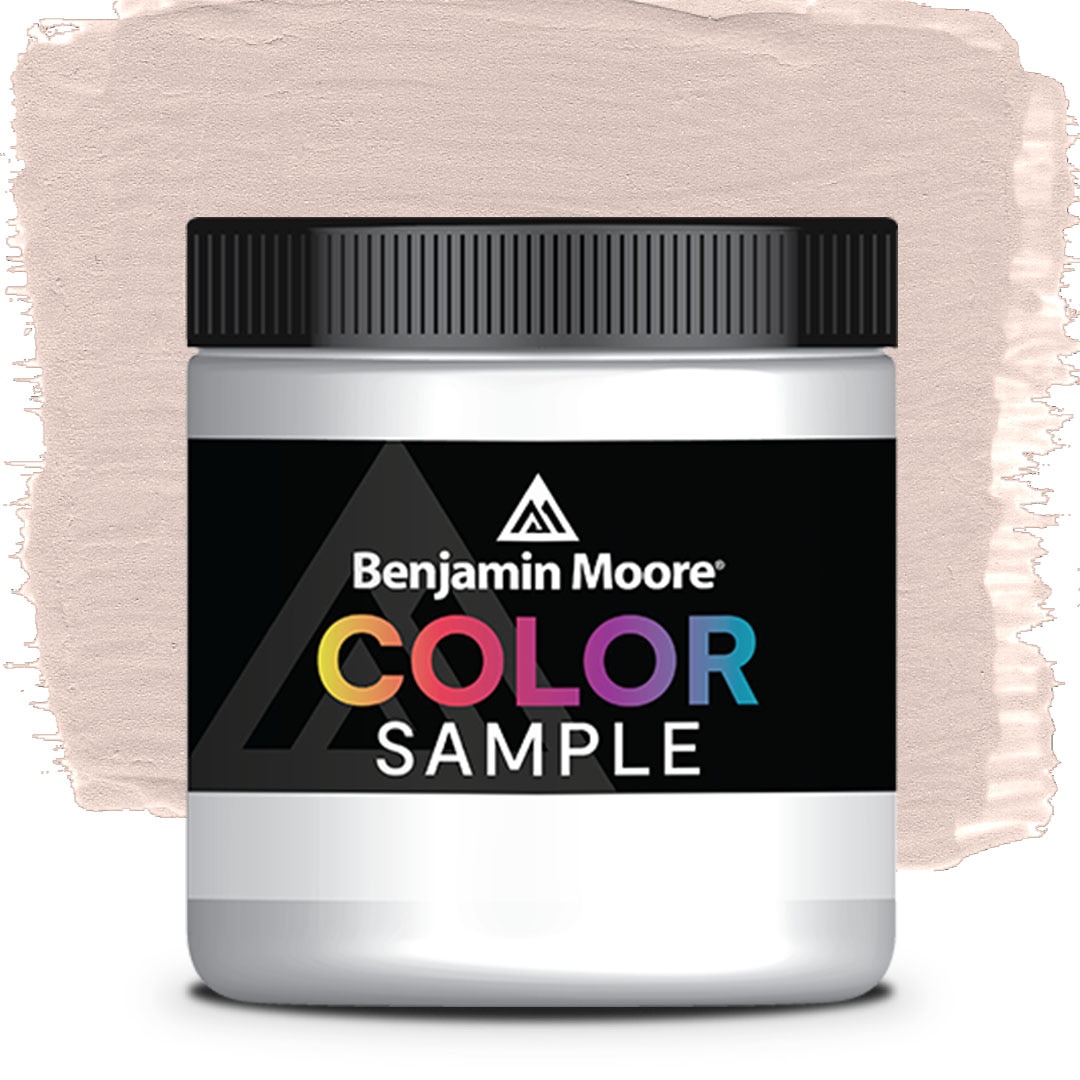 Acapulco Sand 2105-60 Paint Color Samples - 8 oz. | Shop Benjamin Moore