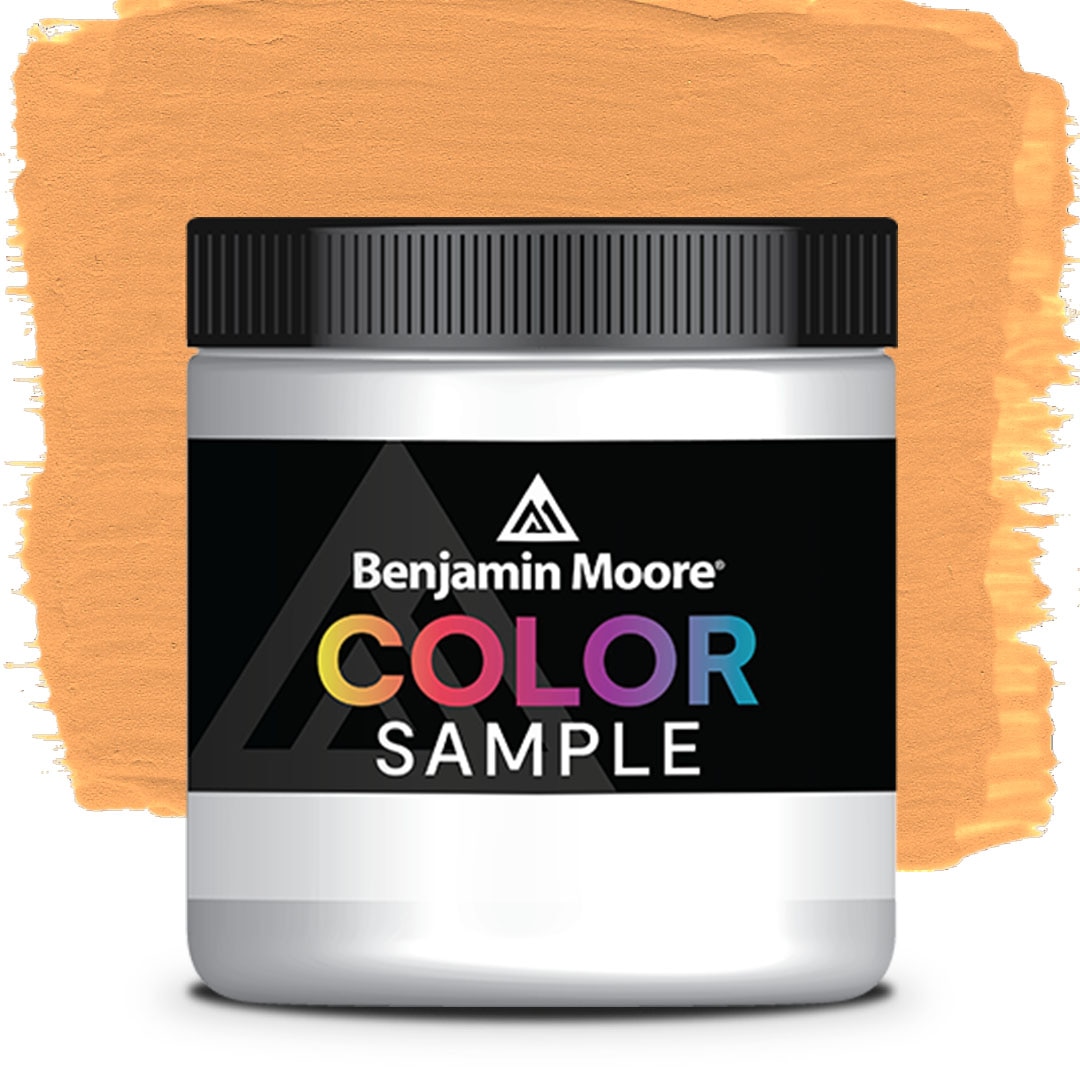 Antelope Canyon 125 Paint Color Samples - 8 oz. | Shop Benjamin Moore