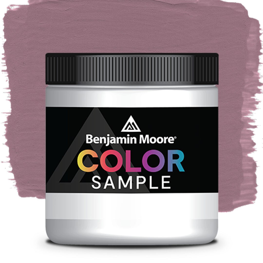 Aplomb AF-625 Paint Color Samples - 8 oz. | Shop Benjamin Moore