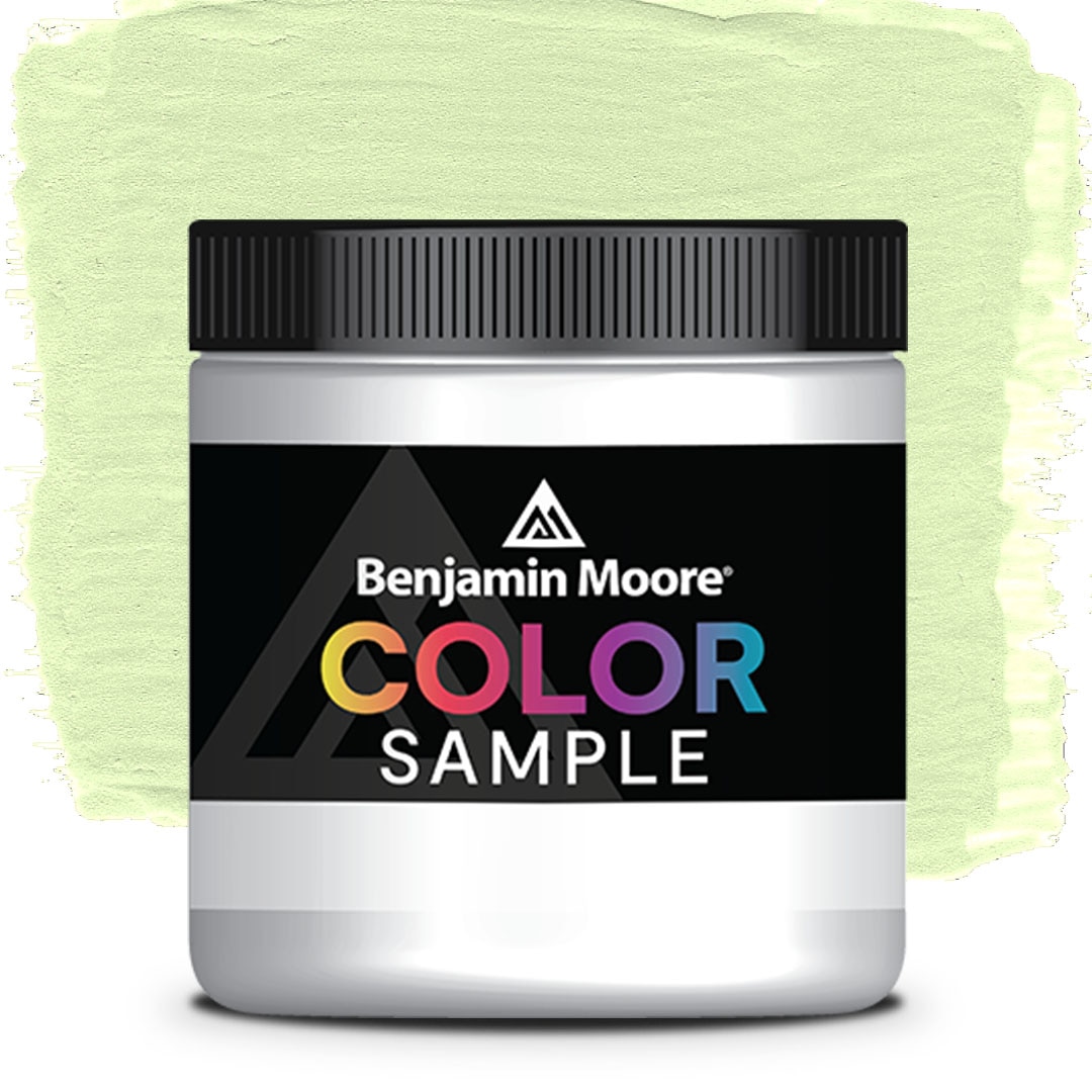 Benjamin Moore® Color Sample 8 oz. Apple Froth 409 | Benjamin Moore