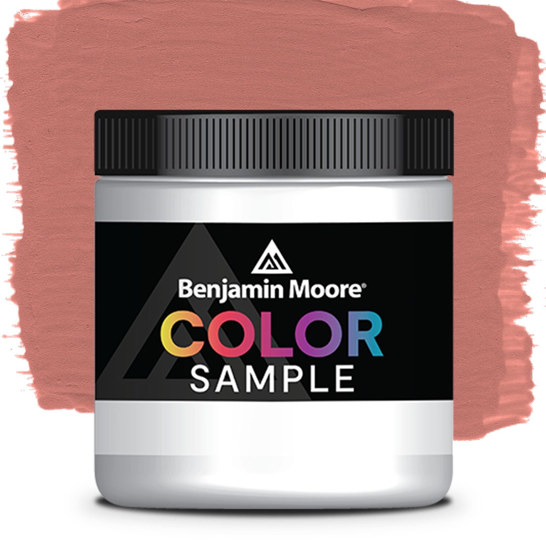 Badlands 1293 Paint Color Samples - 8 oz. | Shop Benjamin Moore