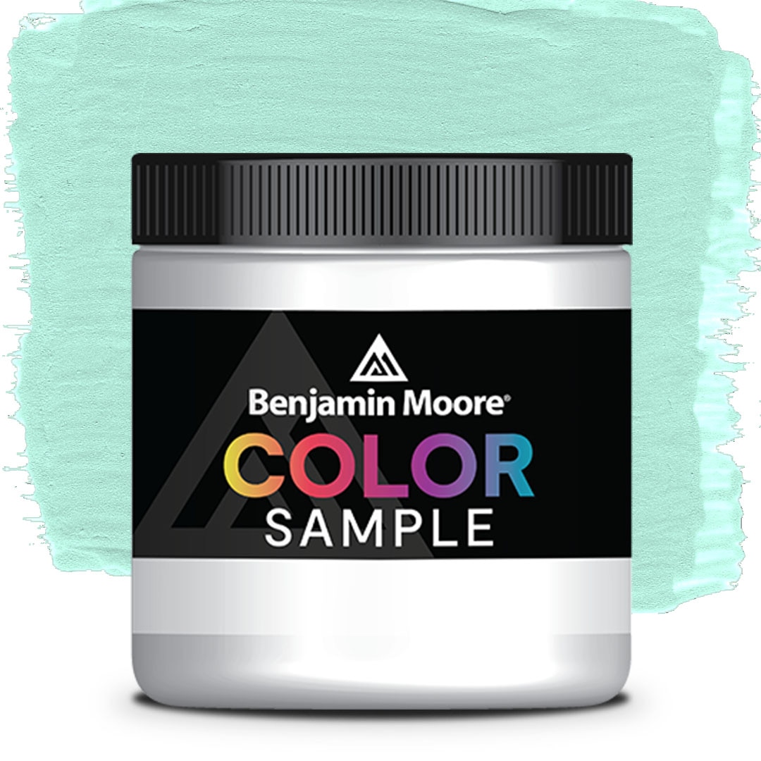 Benjamin Moore® Color Sample 8 oz. Biscayne Shore 604 | Benjamin Moore