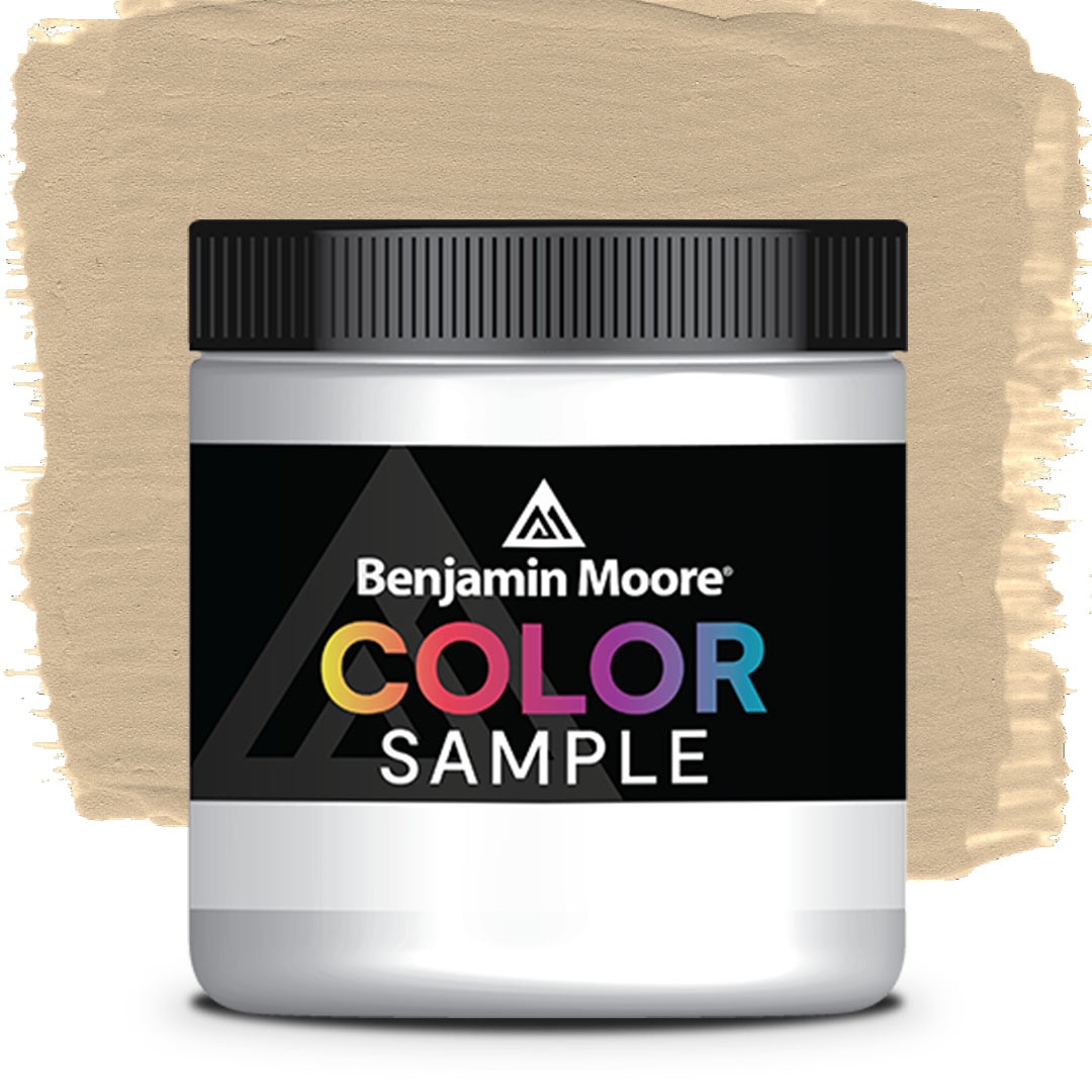 Benjamin Moore® Color Sample 8 oz. Bluffs CC-338 | Benjamin Moore