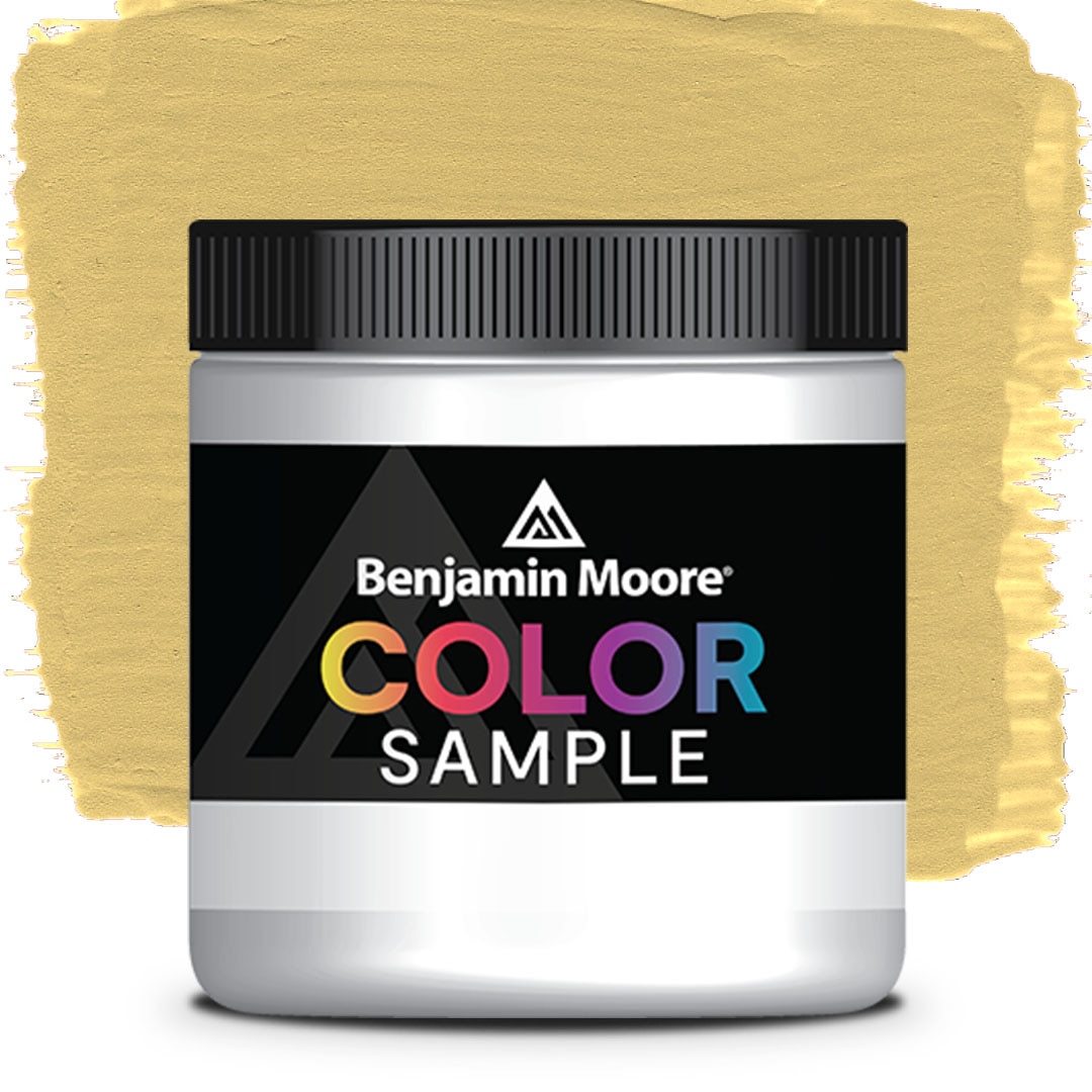 Buena Vista Gold 209 Paint Color Samples - 8 oz. | Shop Benjamin Moore