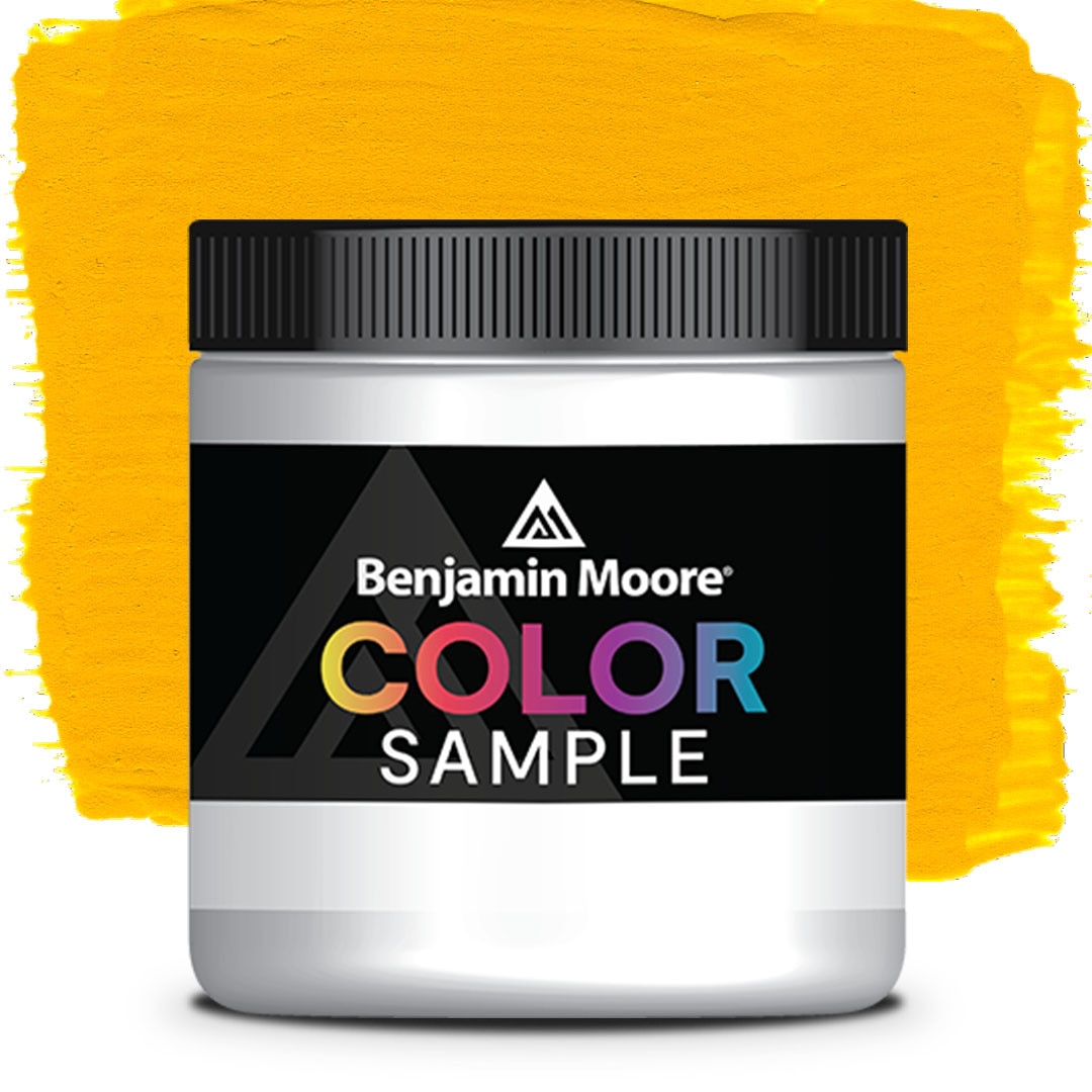 Bumble Bee Yellow 2020-10 Paint Color Samples - 8 oz. | Shop Benjamin Moore