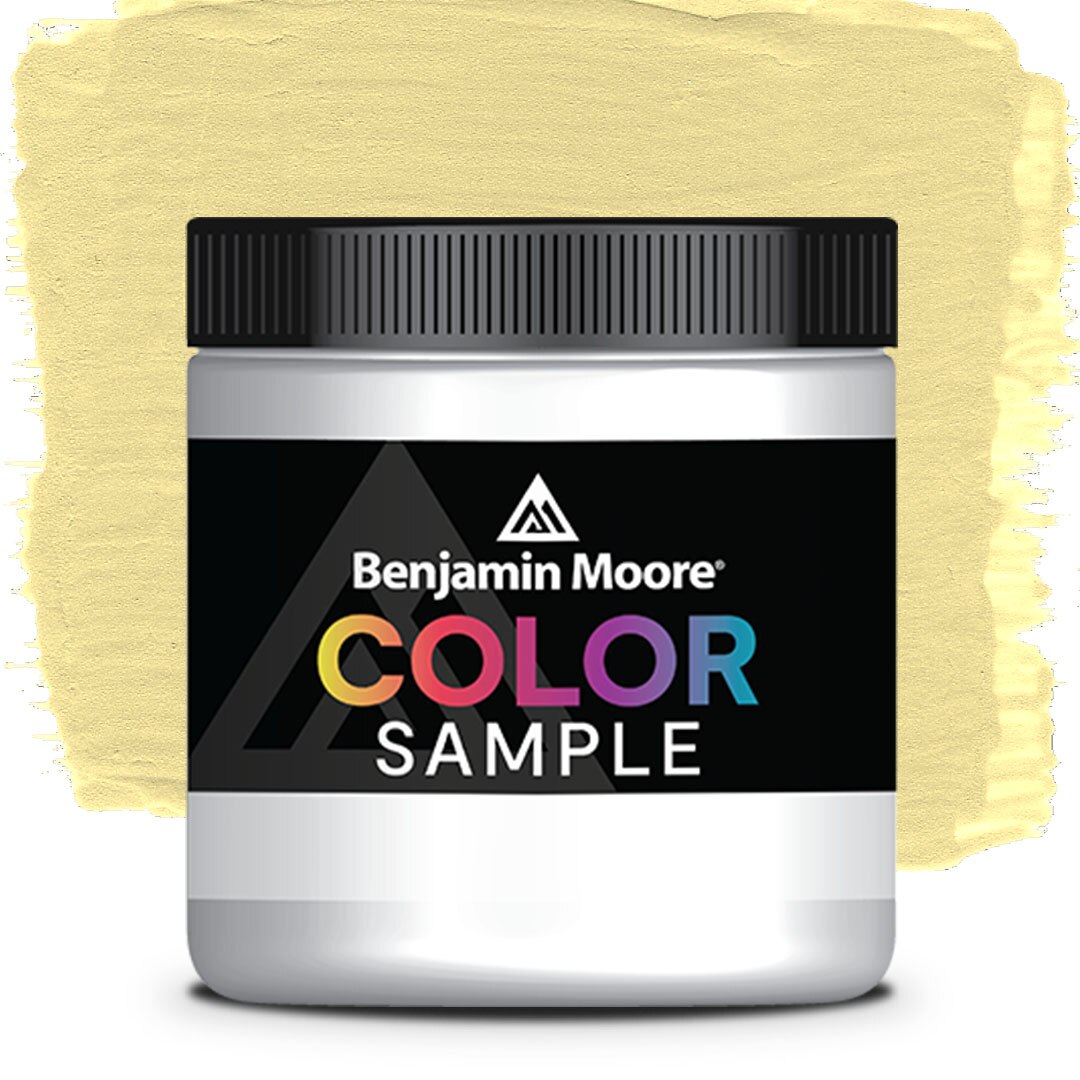Cambridge Heights 276 Paint Color Samples - 8 oz. | Shop Benjamin Moore