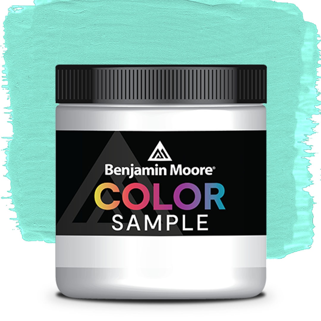 Caribe Green 2042-50 Paint Color Samples - 8 oz. | Shop Benjamin Moore