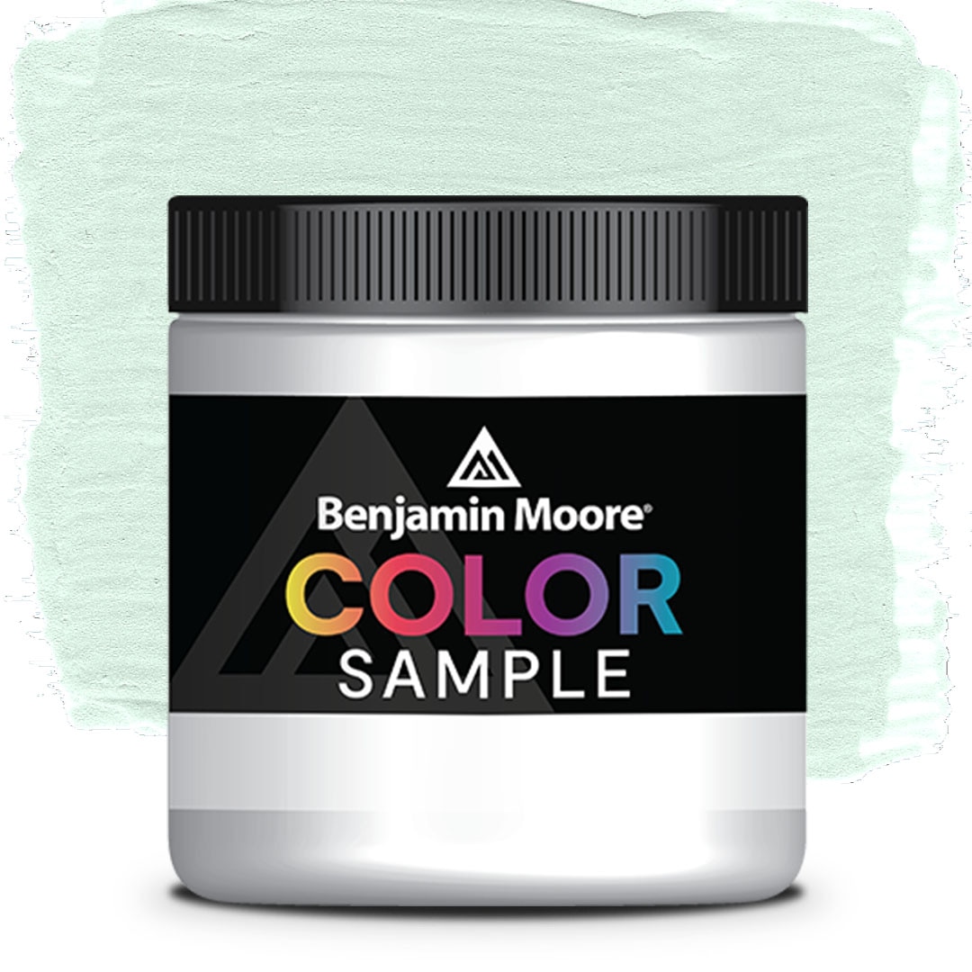 Carried Away 849 Paint Color Samples - 8 oz. | Shop Benjamin Moore