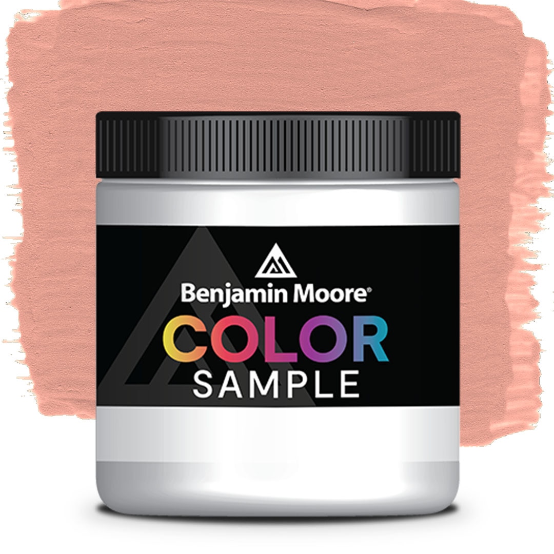 Custis Salmon CW-215 Paint Color Samples - 8 oz. | Shop Benjamin Moore