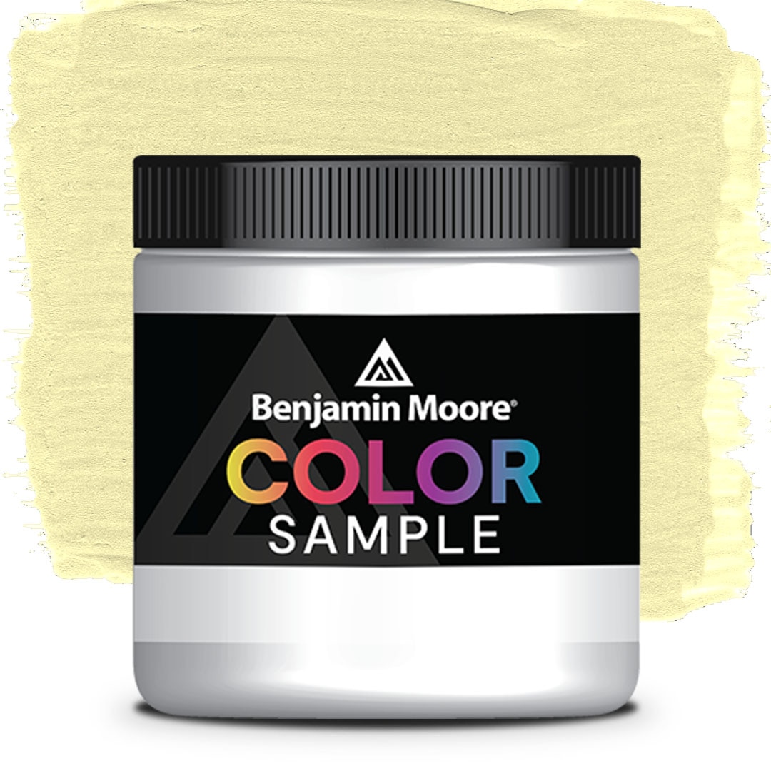 Cypress Green 509 Paint Color Samples - 8 oz. | Shop Benjamin Moore