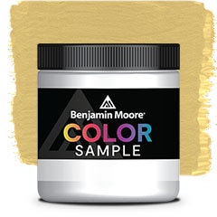 Benjamin Moore® Color Sample 8 oz. Buena Vista Gold 209 | Benjamin Moore