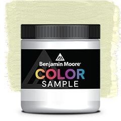 Benjamin Moore® Color Sample 8 oz. Chameleon 526 | Benjamin Moore