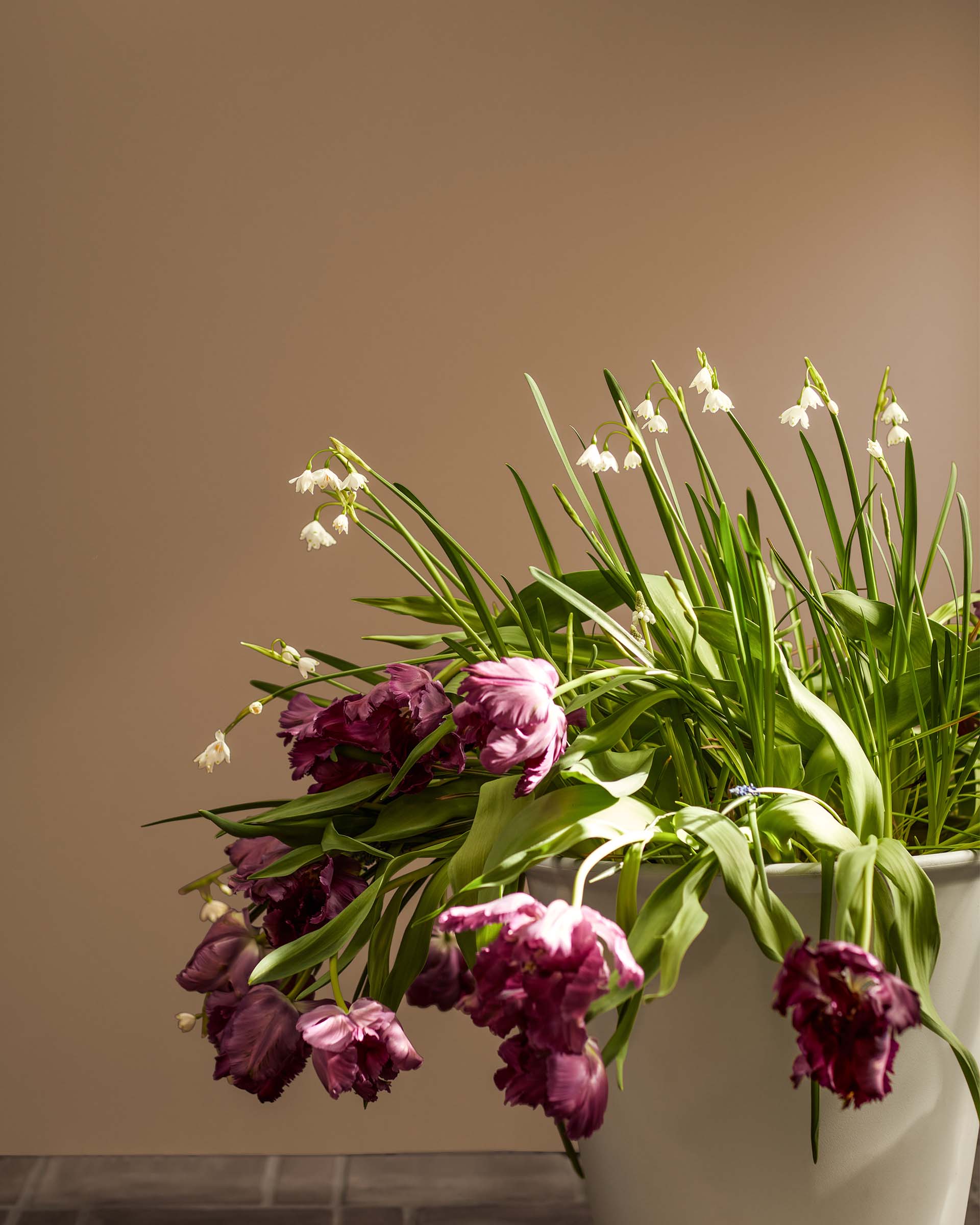 Benjamin Moore Color Of The Year 2025 | Lipstick Alley