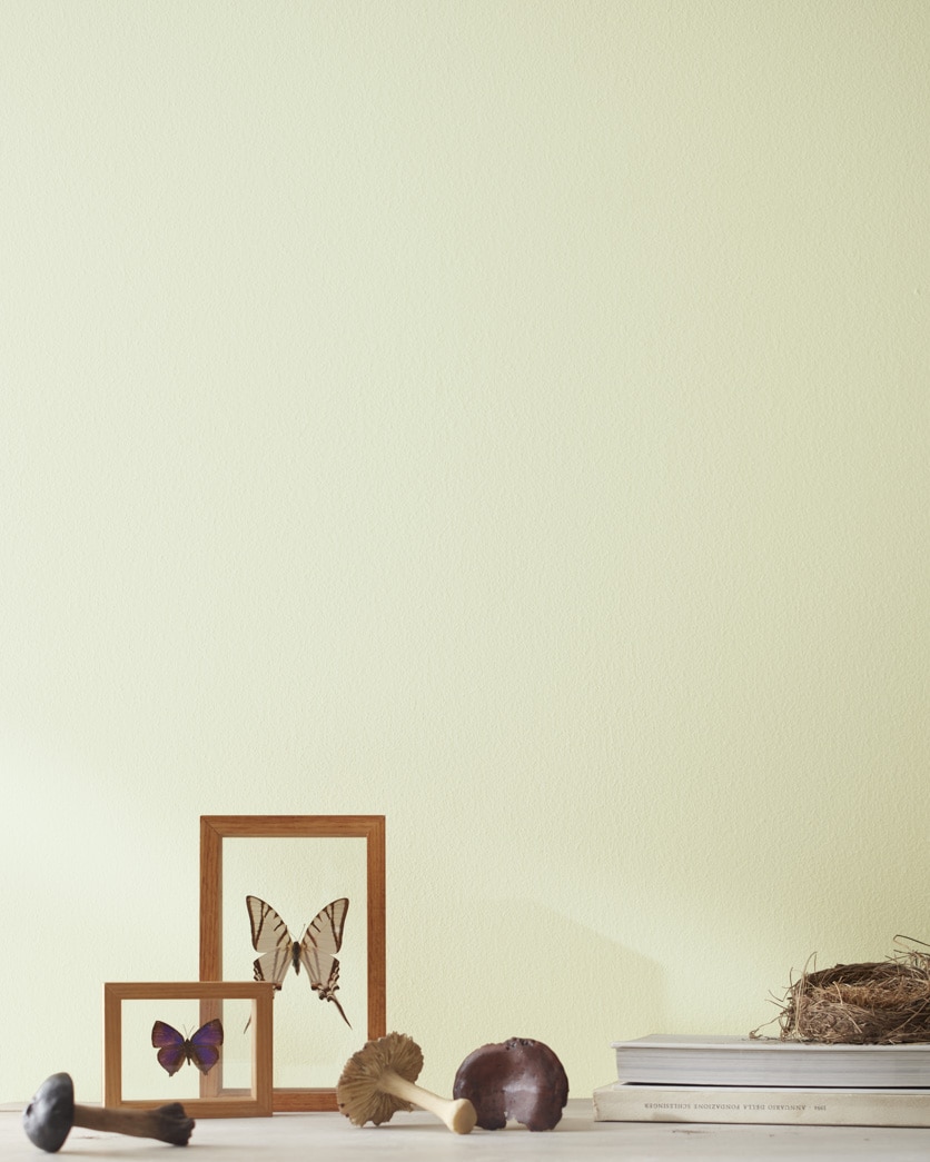 Spring Bud | atelier-yuwa.ciao.jp