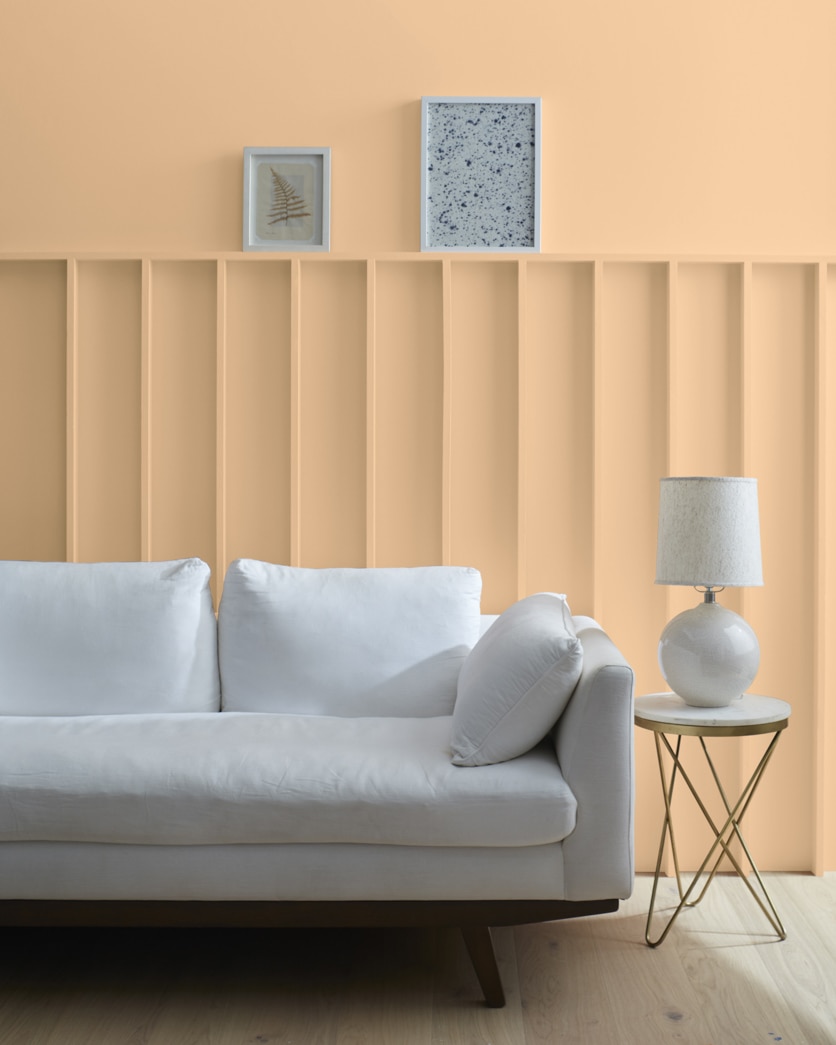 Buttery Tan Paint Color