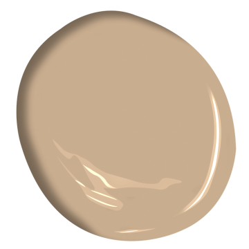 Biscotti CC-488 | Benjamin Moore